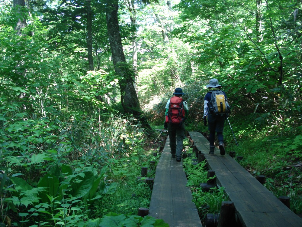 ozegahara-marsh ⋆ OZE TRAVEL BLOG